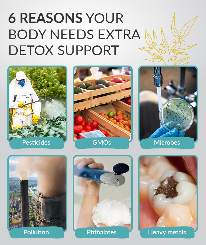 Cleanse & Detoxx Kit - Natural Full Body Detox | Organixx