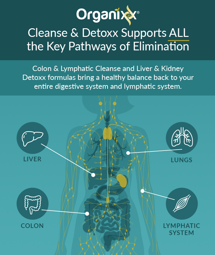 Cleanse & Detoxx Kit - Natural Full Body Detox | Organixx