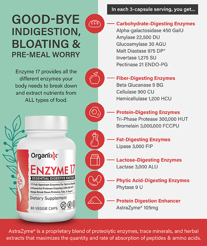 Enzyme 17 - Full Spectrum Digestive Enzymes | Organixx