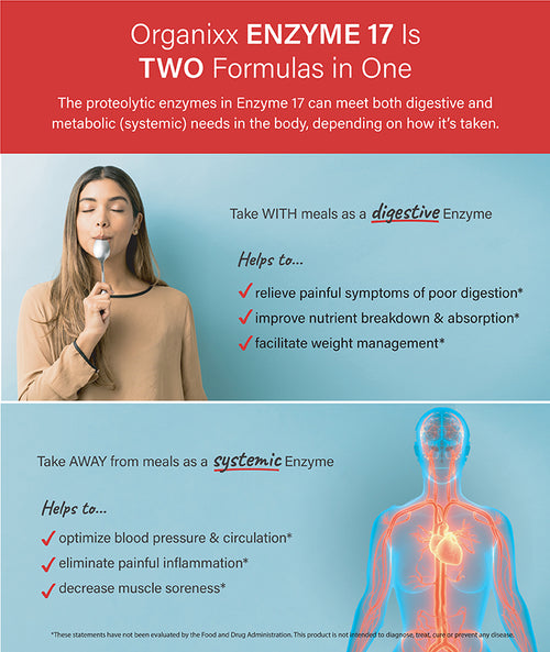 Enzyme 17 - Full Spectrum Digestive Enzymes | Organixx