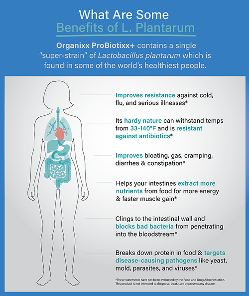 Optimal Digestion Kit – Organixx