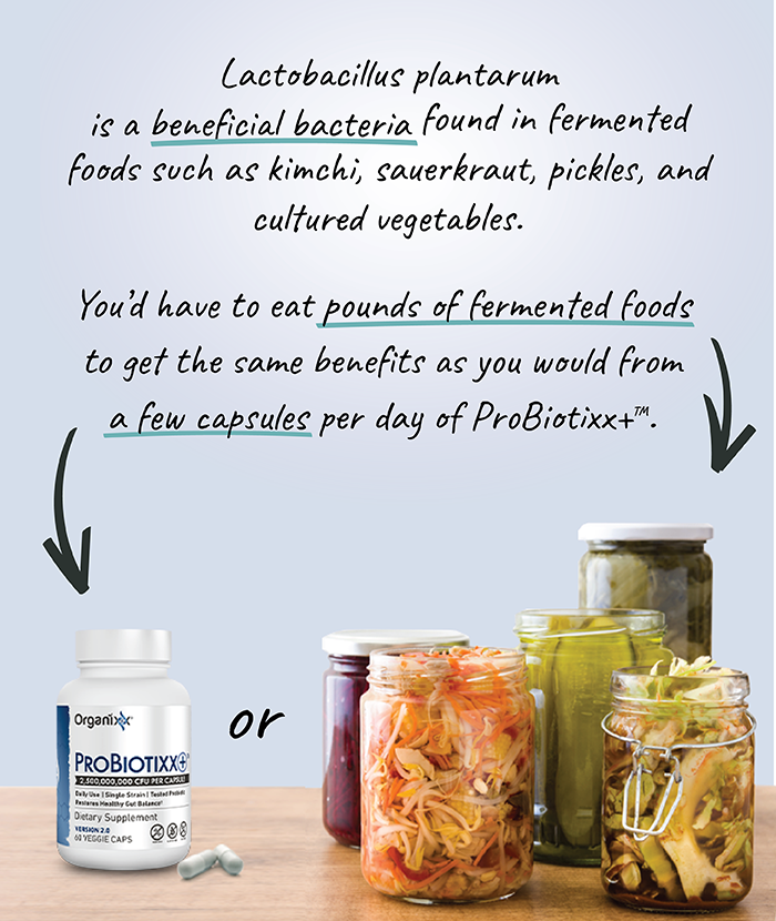Optimal Digestion Kit – Organixx